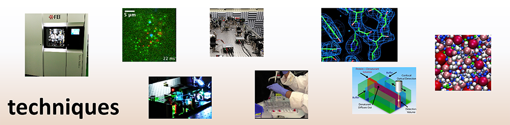 Home - Molecular Biophysics